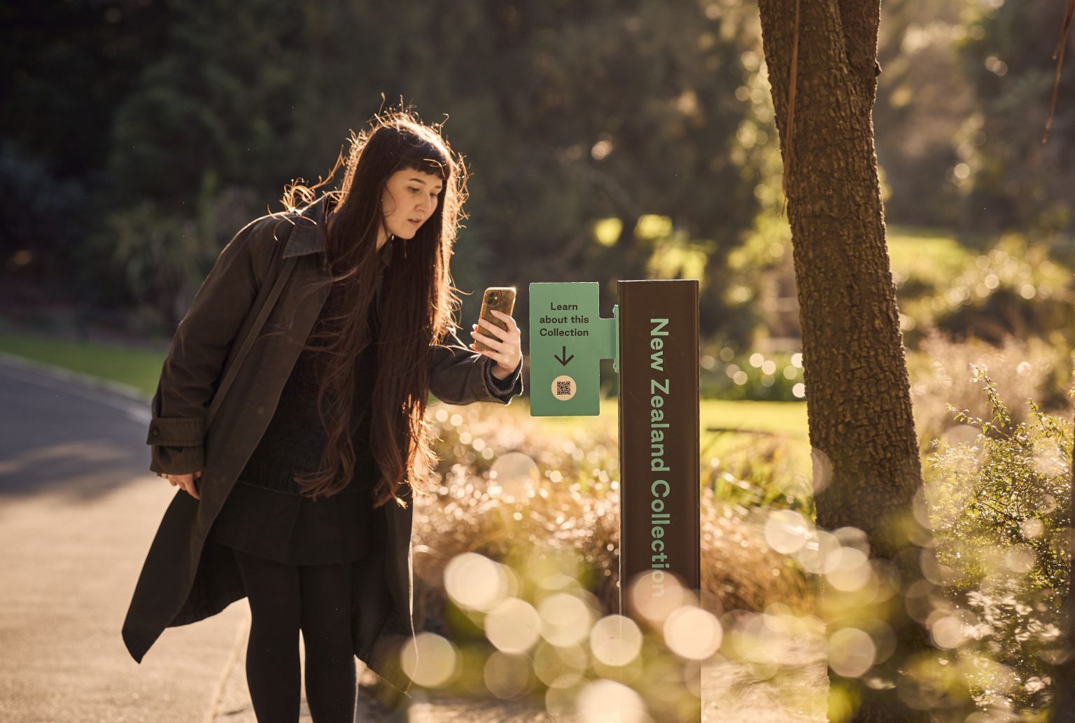 Royal Botanic Gardens Melbourne » Studio Binocular
